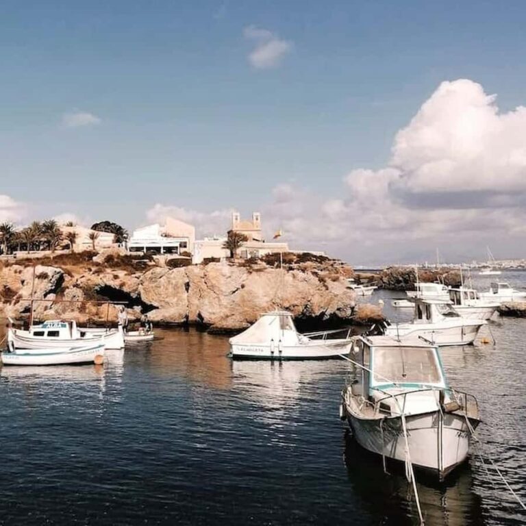 Alicante/Torrevieja: Excursion to Tabarca by ferry, Santa Pola, and Laguna Rosa - What the Reviews Say: Authentic Insights