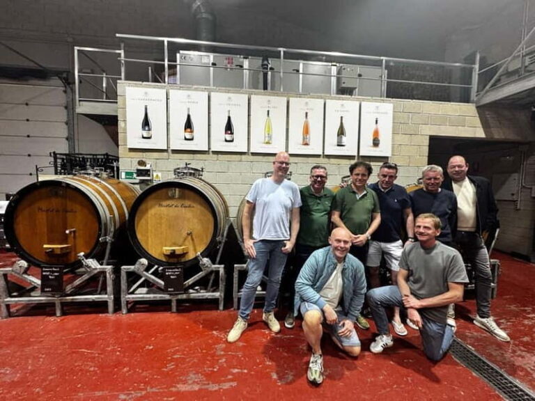 Alicante; Wine Tour, Wineries, Food and Transfer included - An In-Depth Look at the Alicante Wine Tour