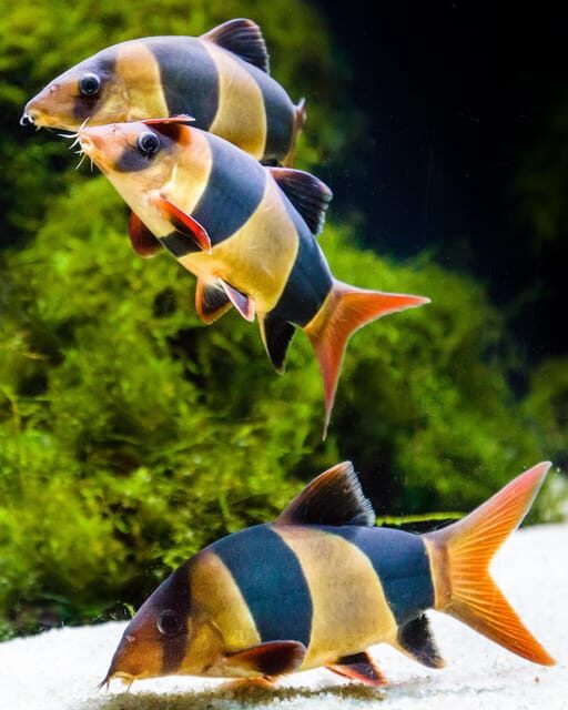 Almería: Aquarium Costa de Almería Entry Ticket - The Practicalities of Visiting