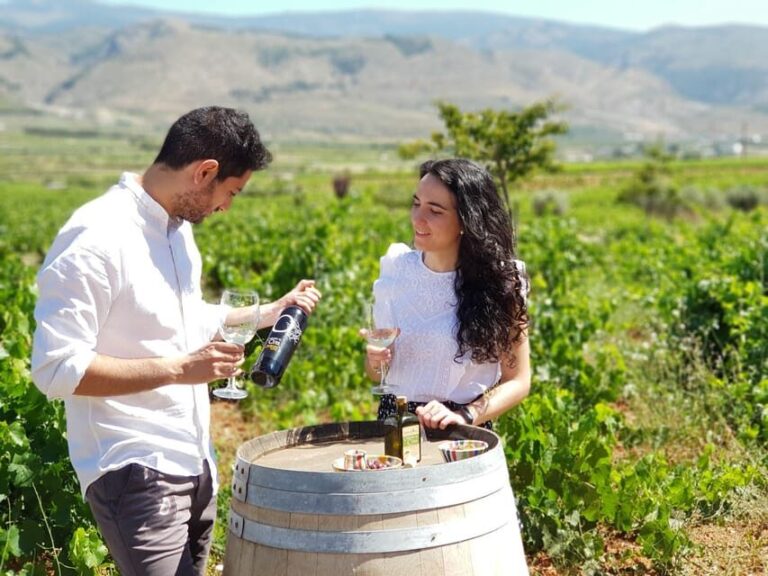 Almería: Wine tour and tasting in Organic Winery - Authentic Experiences and Reviewer Insights