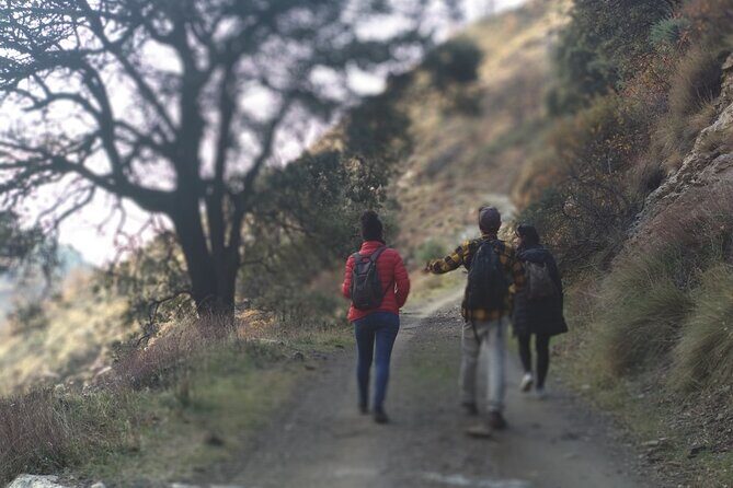 Alpujarra Private DayTrip from Granada - Why This Tour Offers Great Value