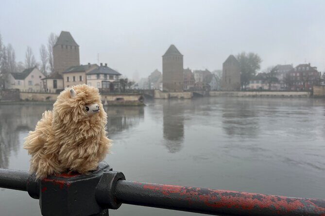 Alsace: Colmar, Villages & Castle Private Guided Full Day Tour - Authenticity & Review Highlights