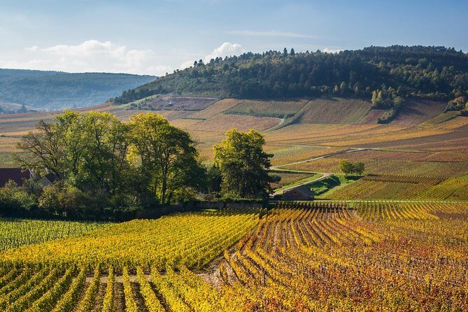 Alsace Local Villages Small Group Guided Tour from Strasbourg - Transportation and Group Size