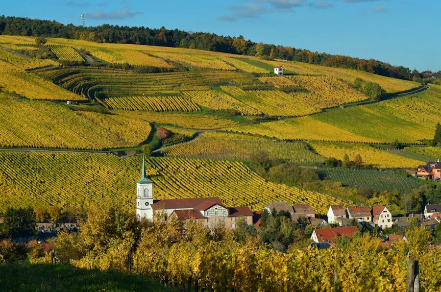 Alsace vineyards autumn fall foliage above village