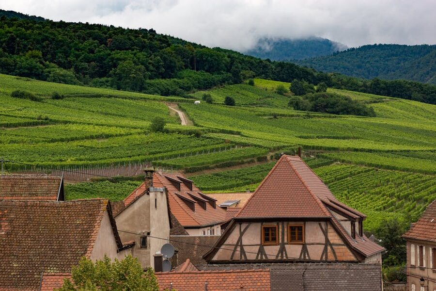 Dambach-la-Ville vineyards farmhouses Alsace