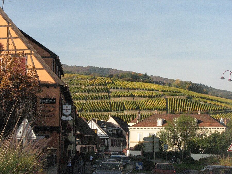 Ribeauville center and Geisberg grand cru vineyard