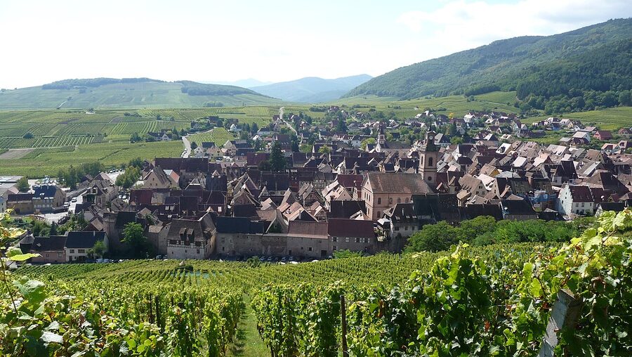View of Riquewihr rooftops from above