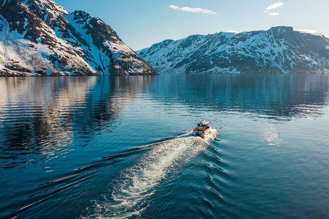 Alta: 2 Hours Guided Adventure Cruise in Alta Fjord - The Sum Up