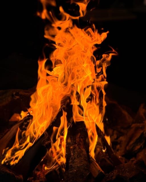 Alta: Sami Cultural Experience with Lavvu and Reindeers - Why This Experience Offers Real Value