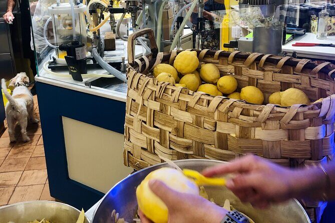 Amalfi Coast from Naples: Relaxing tour between Sorrento and Amalfi! - Positano: The Colorful Cliffside Village