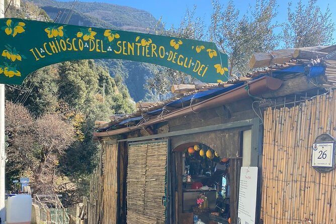 Amalfi Coast Private Tour from Sorrento: Exclusive Mercedes Van - The Scenic Drive Along the Sorrentine Peninsula