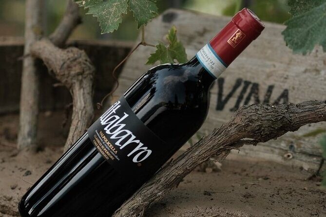 Amarone 2005 Wine Experience - Price and Value: Is It Worth It?