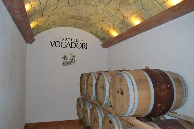 Amarone Della Valpolicella Wine Experience - Meet the Vogadori Family - Why This Tour Works