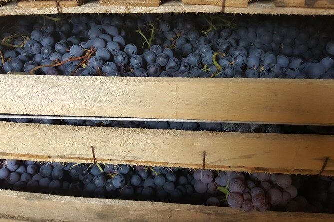 Amarone Wine Tour (all-inclusive full day with lunch and expert wine guide) - Visualizing the Day