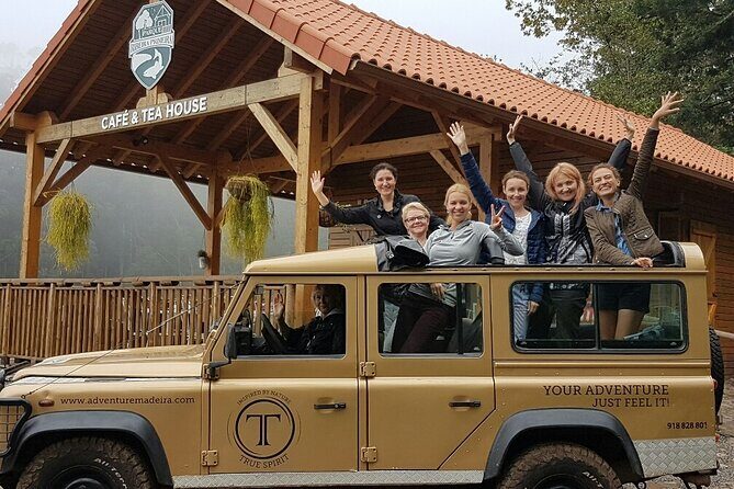 Amazing Skywalk, Wine Tasting & 4x4 Adventure + Dolphin Watching - What We Loved About the Experience
