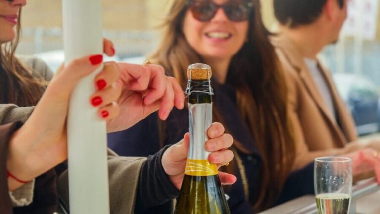 Amsterdam: Dutch Prosecco Party Bike - Who Should Consider This Tour?