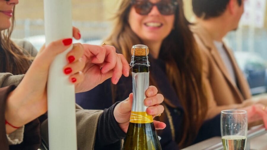 Amsterdam: Dutch Prosecco Party Bike - Who Should Consider This Tour?