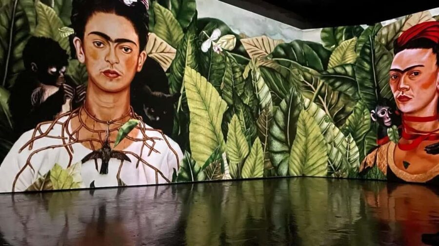 Amsterdam: Frida Kahlo Immersive & Photo Exhibition - Value for Money and Ticketing