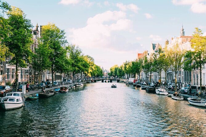 Amsterdam Highlights Walking Tour - Practicalities and Value