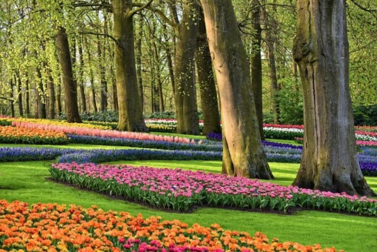 Amsterdam: Keukenhof & Zaanse Schans Windmills Private Tour - Who Should Consider This Tour?