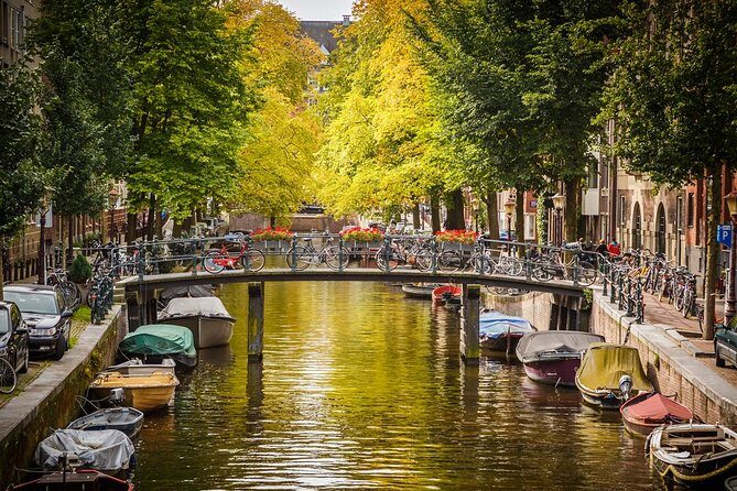 Amsterdam local transfers - Why Choose This Private Transfer in Amsterdam?