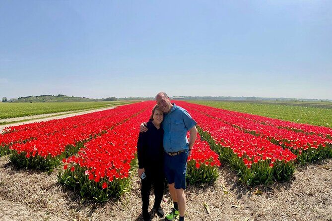 Amsterdam Private Tour to Keukenhof, Tulip Fields and Windmills - What’s Included and What’s Not