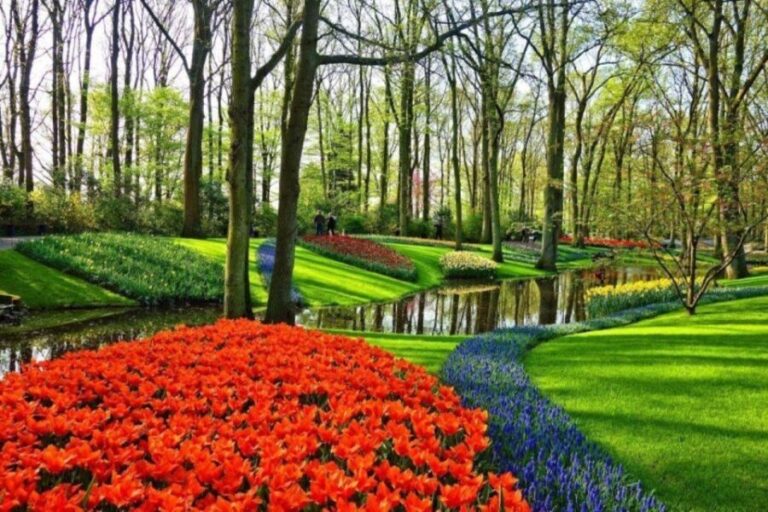Amsterdam: Private tour Tulips, Keukenhof, Windmill & Cheese - The Itinerary Breakdown: Step-by-Step