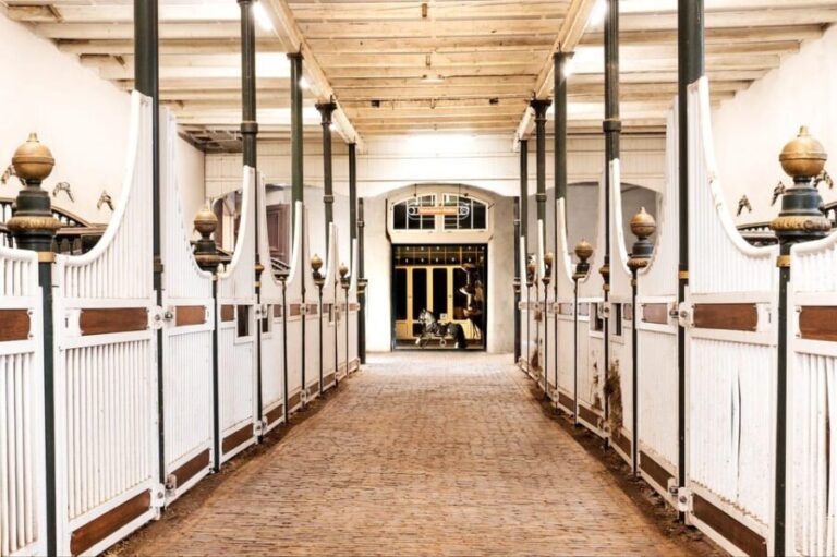 Amsterdam: The 'Hollandsche Manege' Stables Entry Ticket - Practical Details and Tips