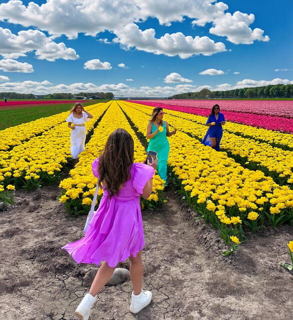 Amsterdam: Tulip Fields Day Tour with Lunch & Windmill - Detailed Itinerary Breakdown