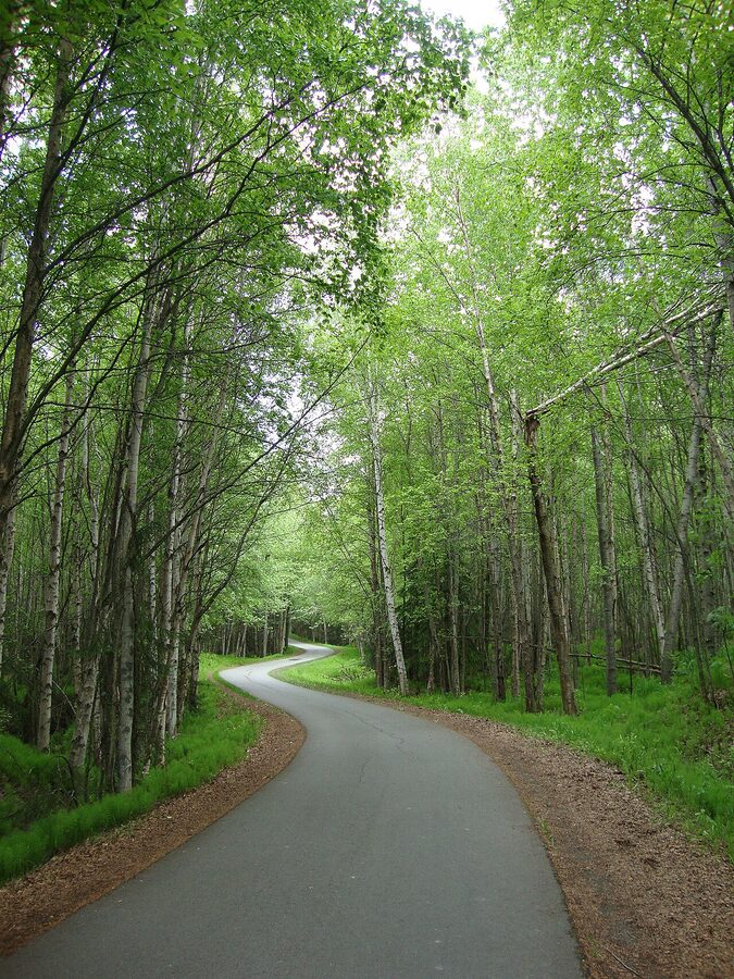 Earthquake Park Trail Anchorage Alaska