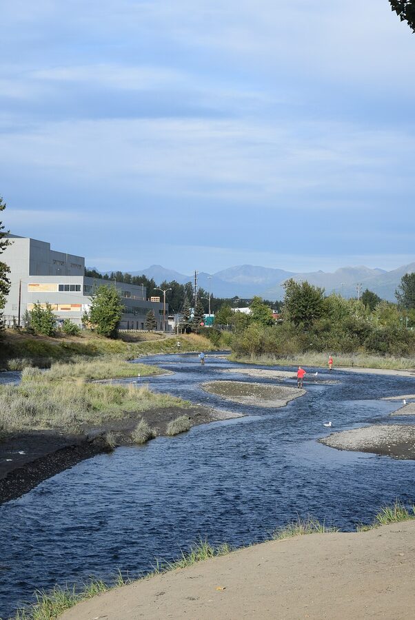 Anglers fishing for salmon at Ship Creek Anchorage