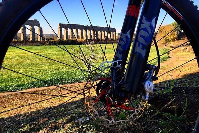 Ancient Appian Way and Roman Countryside E-Bike Tour - Final Thoughts: Who Will Love This Tour?