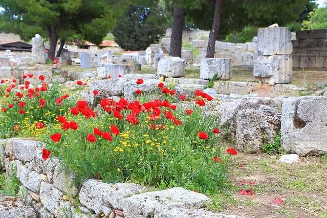 Ancient Corinth & Nafplion One-Day Tour from Athens - An In-Depth Look at the Tour Experience