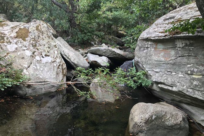 Andros half-day sightseeing tour - Detailed Breakdown of the Itinerary