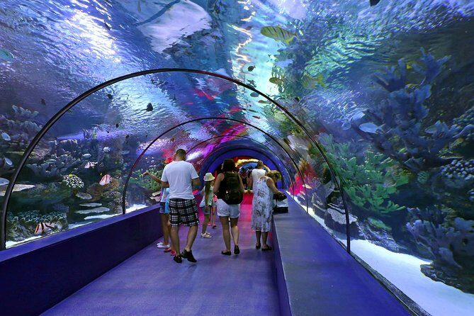 Antalya: Aquarium Ticket With Optional Transfer - Final Thoughts: Who Will Love This Tour?