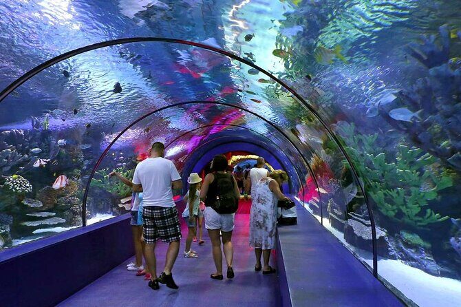 Antalya: Aquarium, Wax Museum & Combo Package Options - What We Loved About This Experience