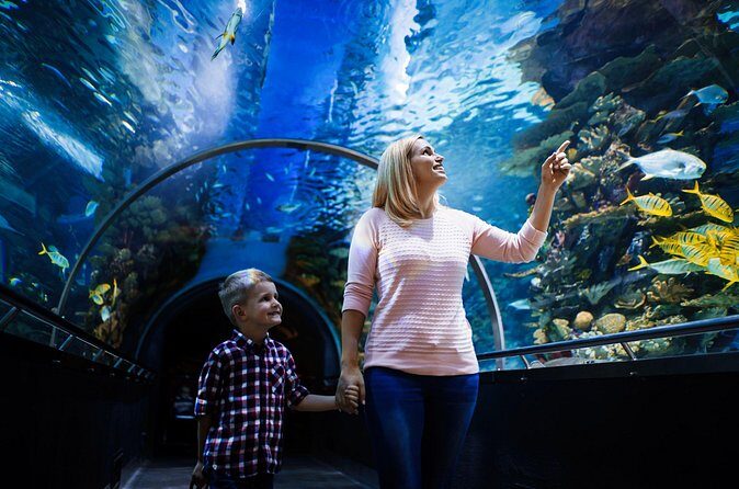 Antalya Half-Day Private City Tour with Aquarium Visit - Authentic Insights from Travelers