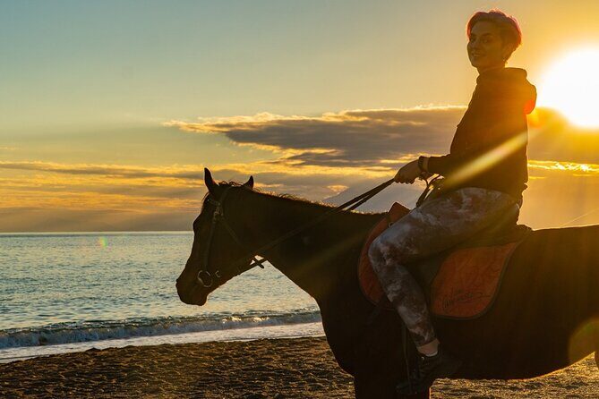 Antalya Horse Riding On Beach And Through The Forests For 2 Hours - Authentic Feedback & Cautions