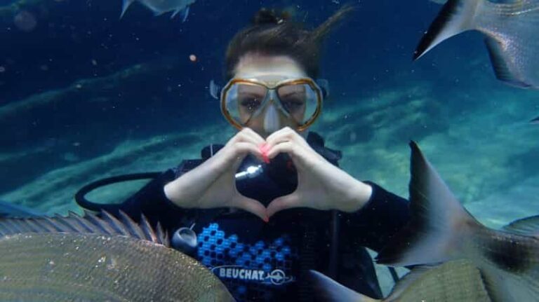 Antalya Scuba Diving Tour, With Lunch & Return Transfers - A Closer Look at What You Can Expect