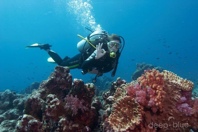 Antalya Scuba Diving W/Lunch & Transfers - What to Expect from the Antalya Scuba Diving Tour