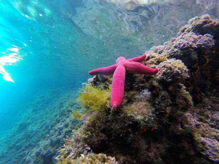 Aperitivo on the boat during sunset time in Palinuro - Who Will Love This Tour?