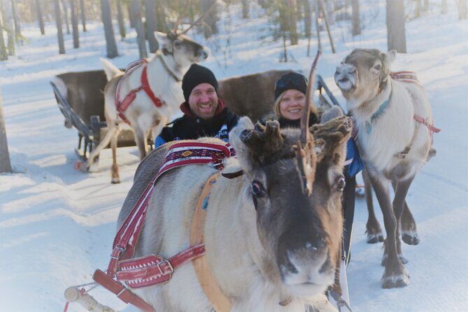 Apukka Snow and Fun, Rovaniemi - Who Will Love This Tour?