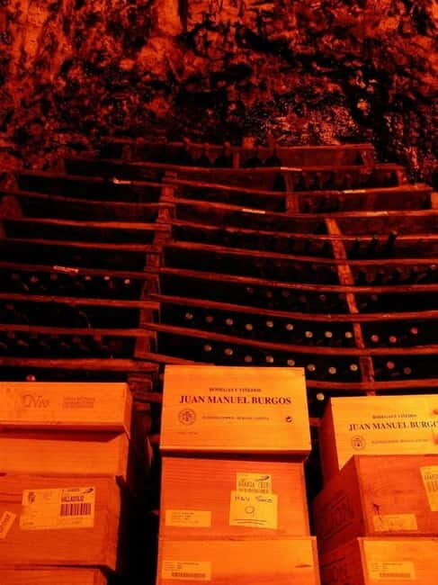 Aranda de Duero: Guided and Dramatized Visit to Medieval Wi - The Experience in Detail