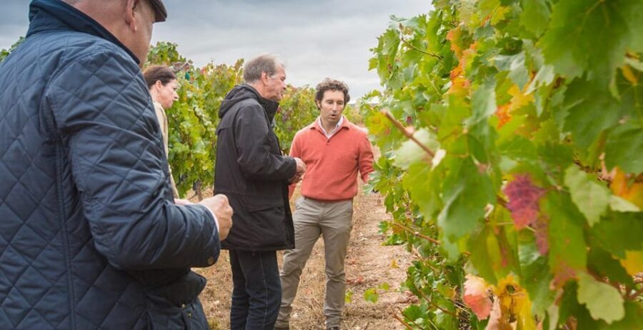 Aranda de Duero: Martín Berdugo Winery - Tour and Tasting - FAQ