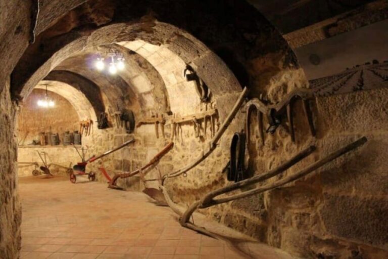 Aranda de Duero: Tour of Underground Cellar and Wine Museum - Discover the Aranda de Duero Wine Museum