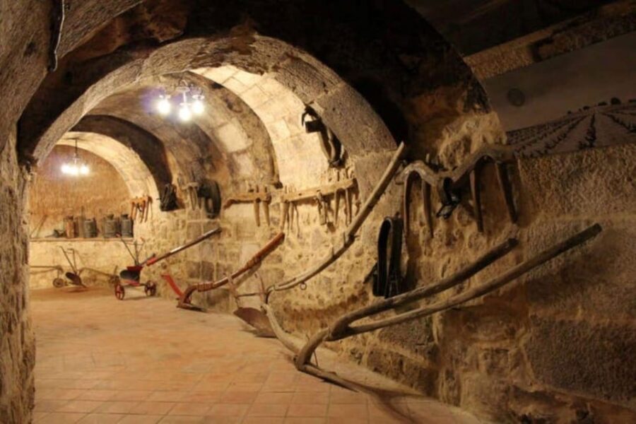 Aranda de Duero: Tour of Underground Cellar and Wine Museum - Discover the Aranda de Duero Wine Museum