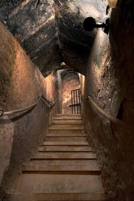 Aranda de Duero: Wine Tasting Course with Iberian Tasting - Practical Tips for Travelers