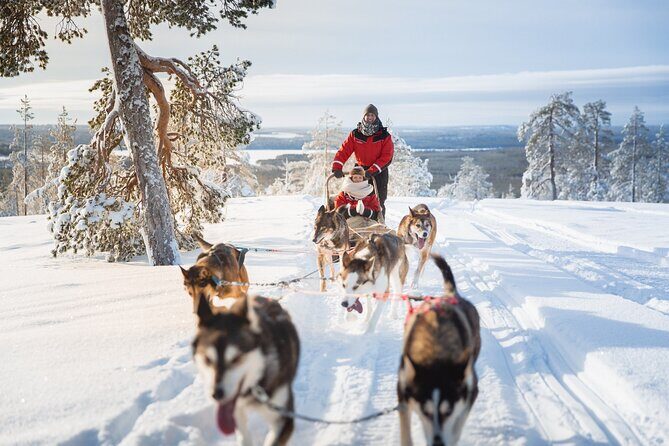 Arctic Husky Adventure in Rovaniemi - Who is this tour perfect for?