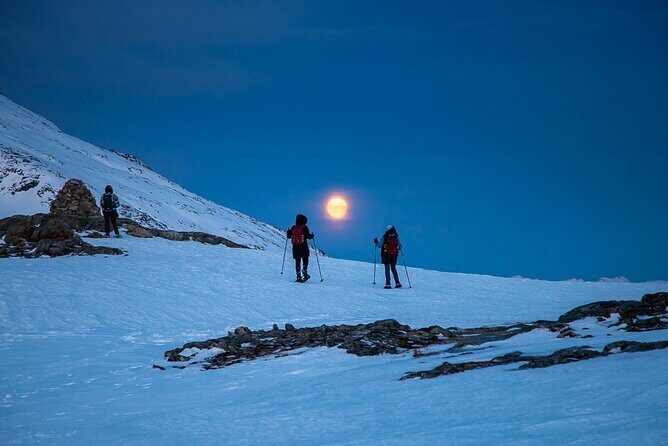 Arctic Landscapes Hiking, Sightseeing & Snowshoeing Private Tour - The Experience of Snowshoeing and Hiking with Experts