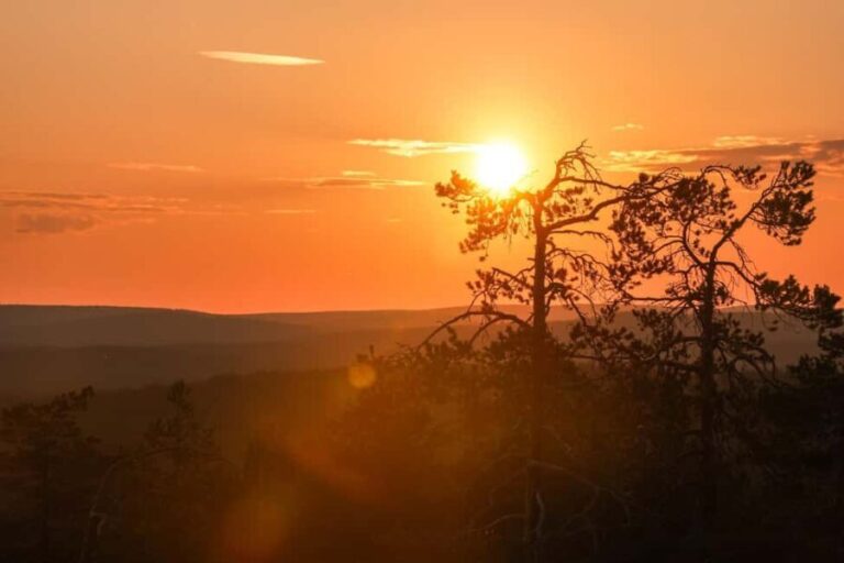 Arctic Wilderness Hike from Rovaniemi (Day & Evening) - Who Would Love This Experience